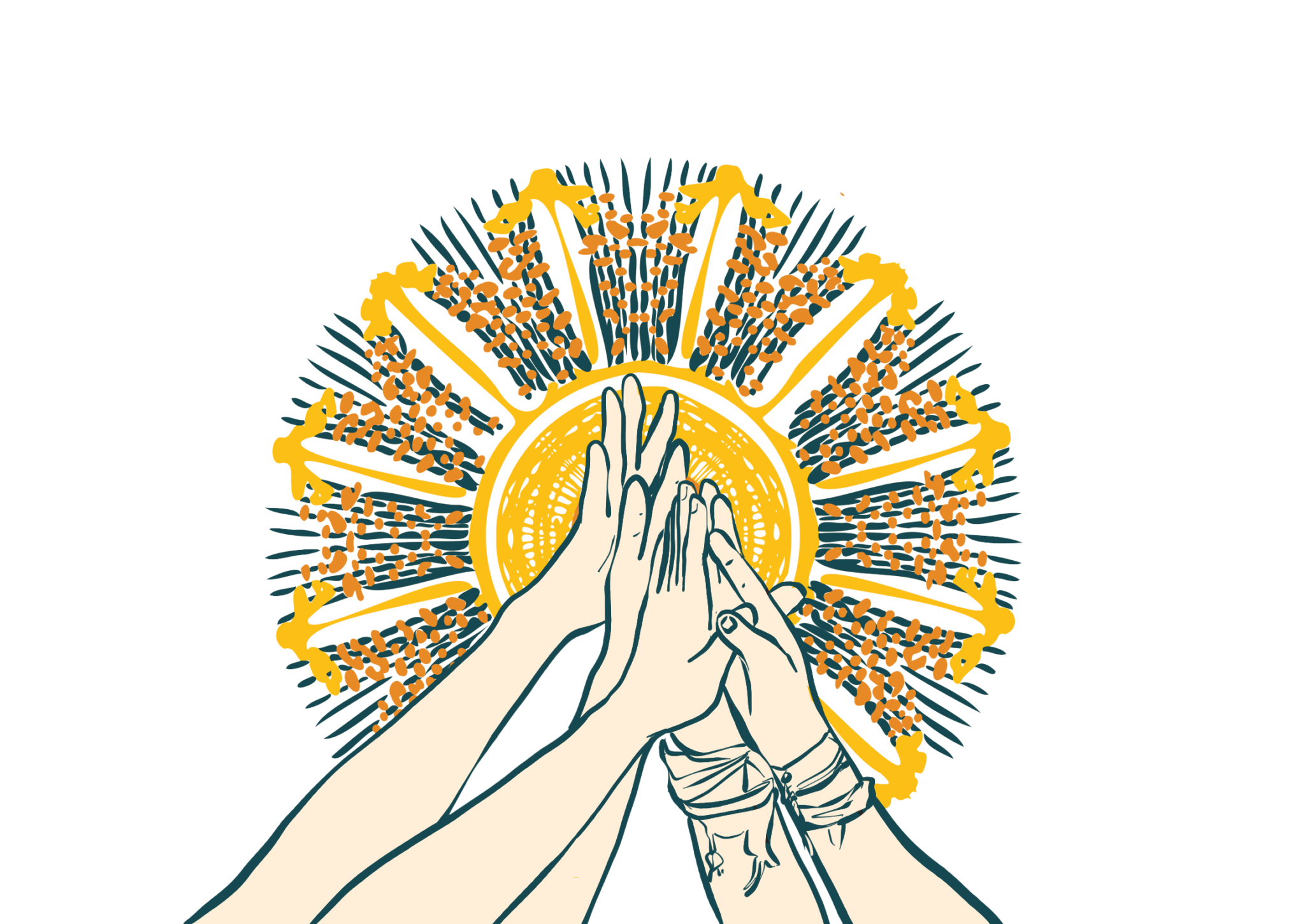 Knowledge Hub - South Feminist Futures